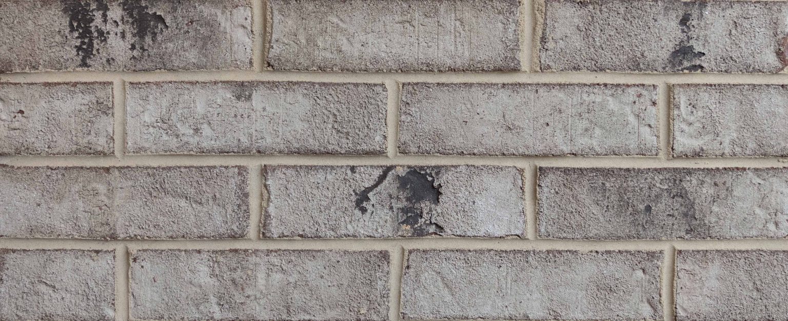 FULL BRICK - General Shale Brick Charlotte